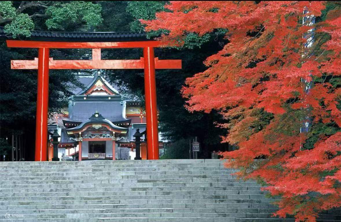[All checked-in Kagoshima Kirishima Line] Boutique small group one-day ...